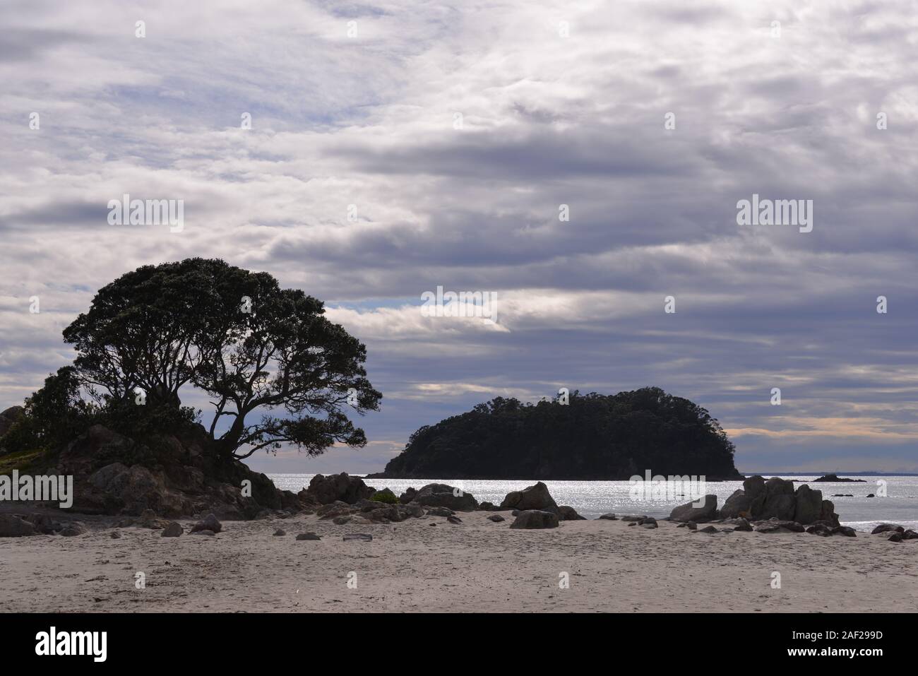 Moturiki island new zealand hi-res stock photography and images - Alamy