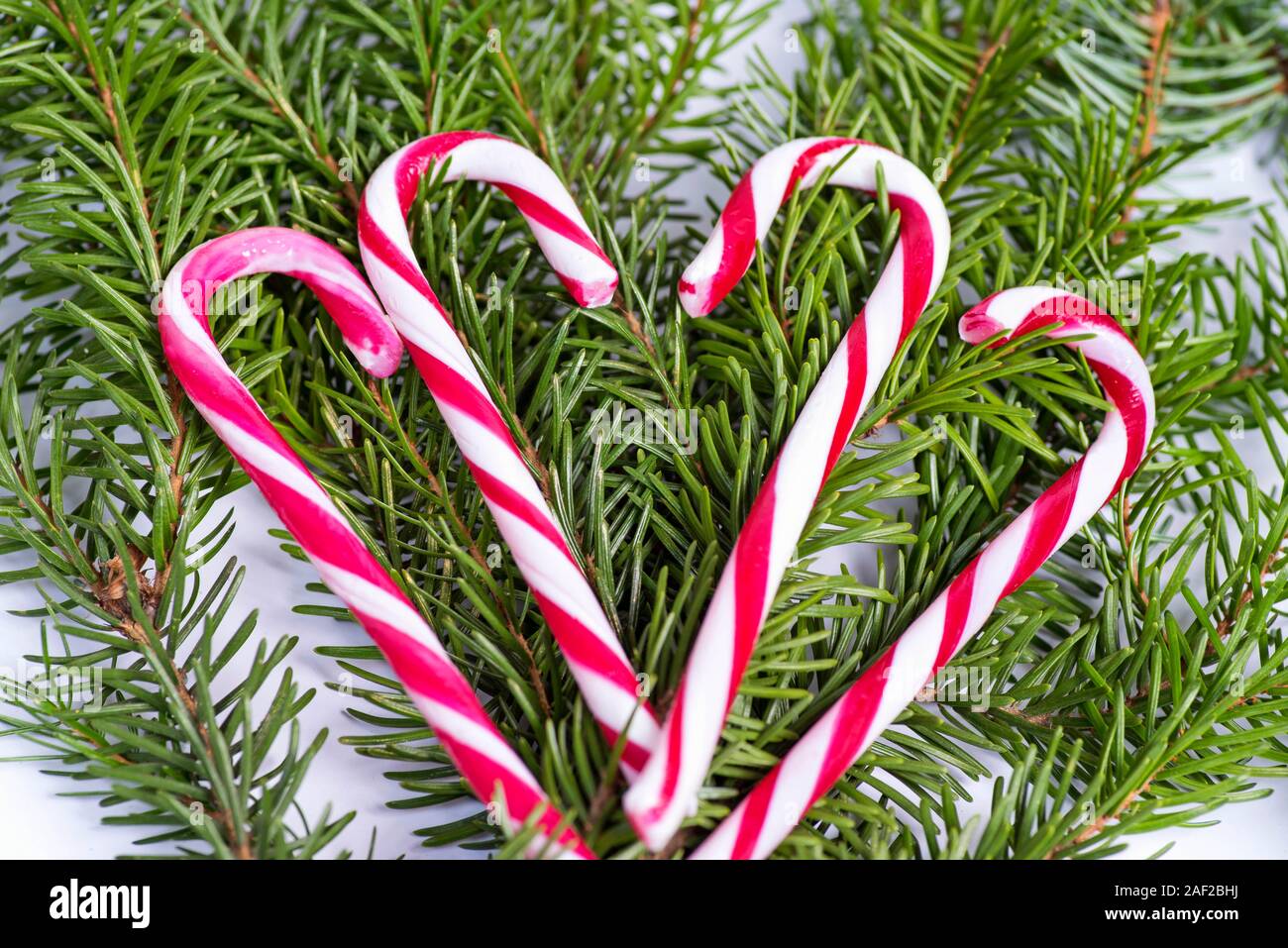 Concept of christmas drink .Red and white candy canes Stock Photo - Alamy