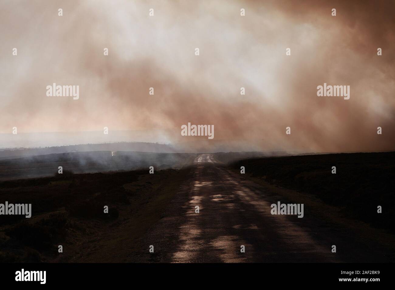 Wildfires australia fire flames bush bush fire hi-res stock photography ...