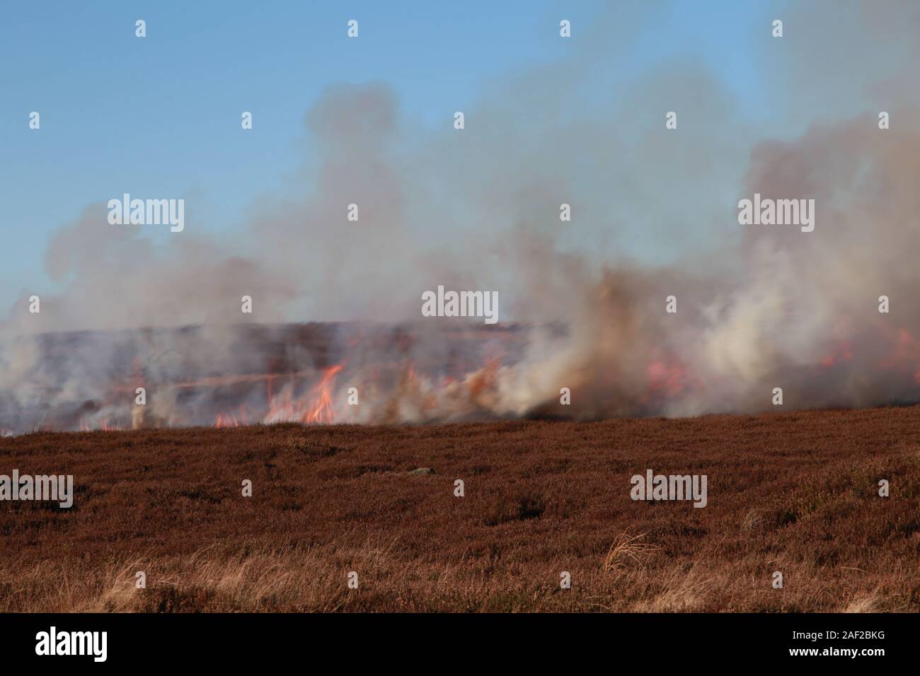 Wildfires australia fire flames bush bush fire hi-res stock photography ...