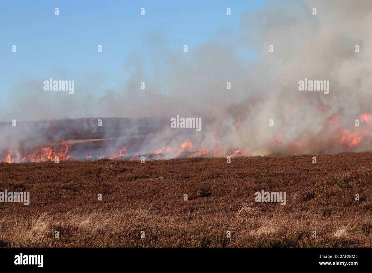 Australian bushfire hi-res stock photography and images - Alamy