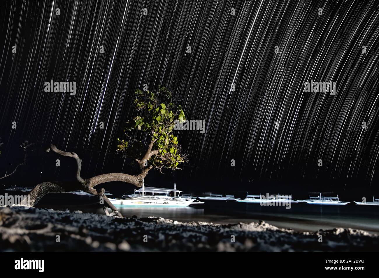 Night scape photo of bent, solitaire tree, growing on the edge of ...