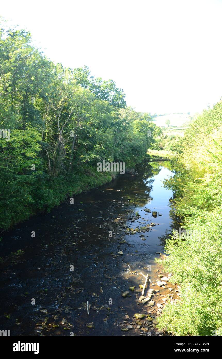 Summer at yorkshire wildlife park hi-res stock photography and images ...