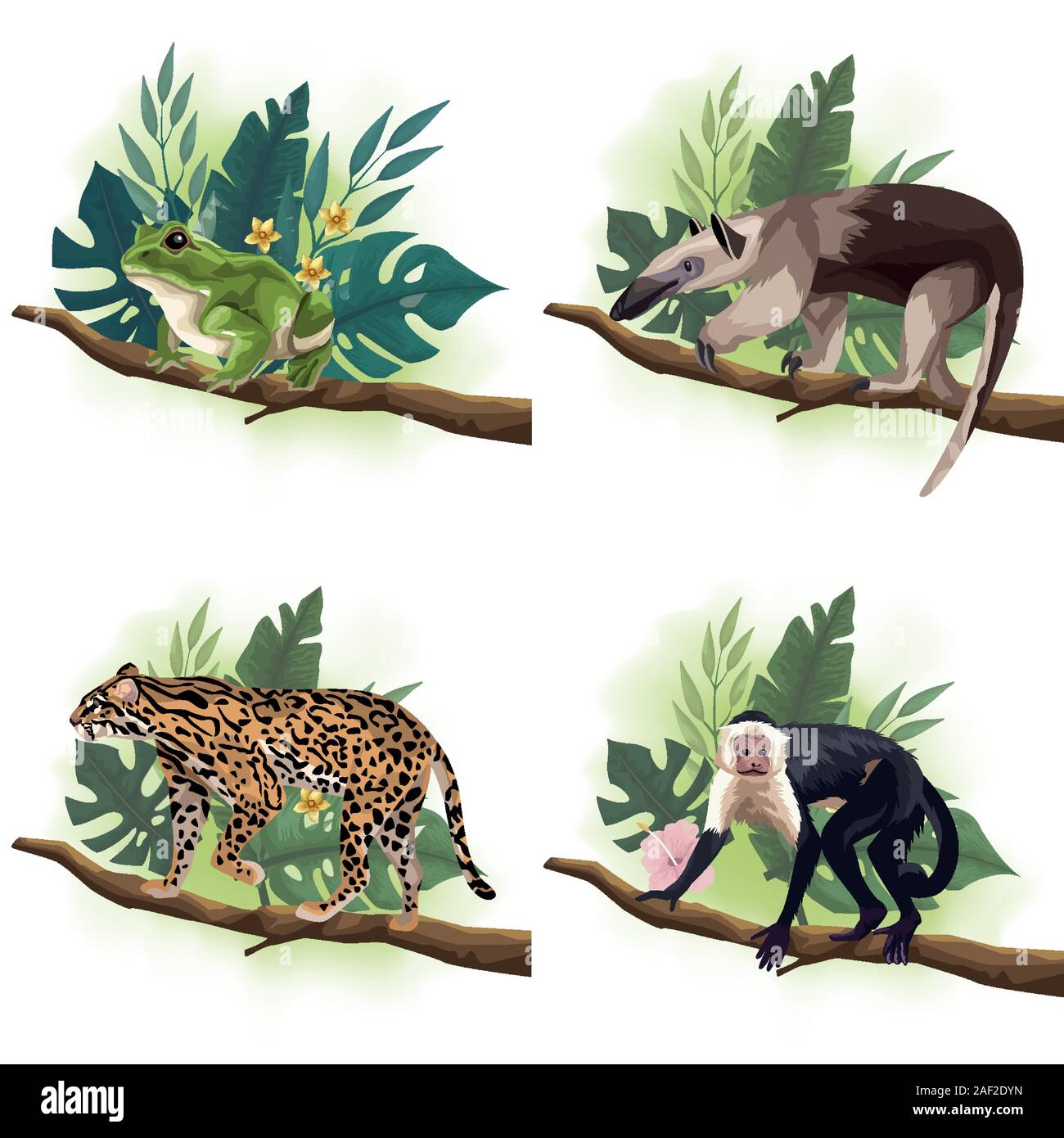group of wild animals in tree branches scenes Stock Vector Image & Art ...