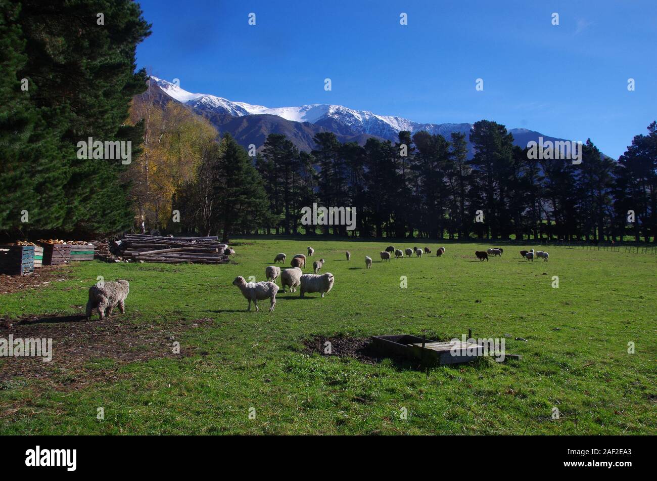 Te Araroa Trail. South Island. New Zealand Stock Photo - Alamy