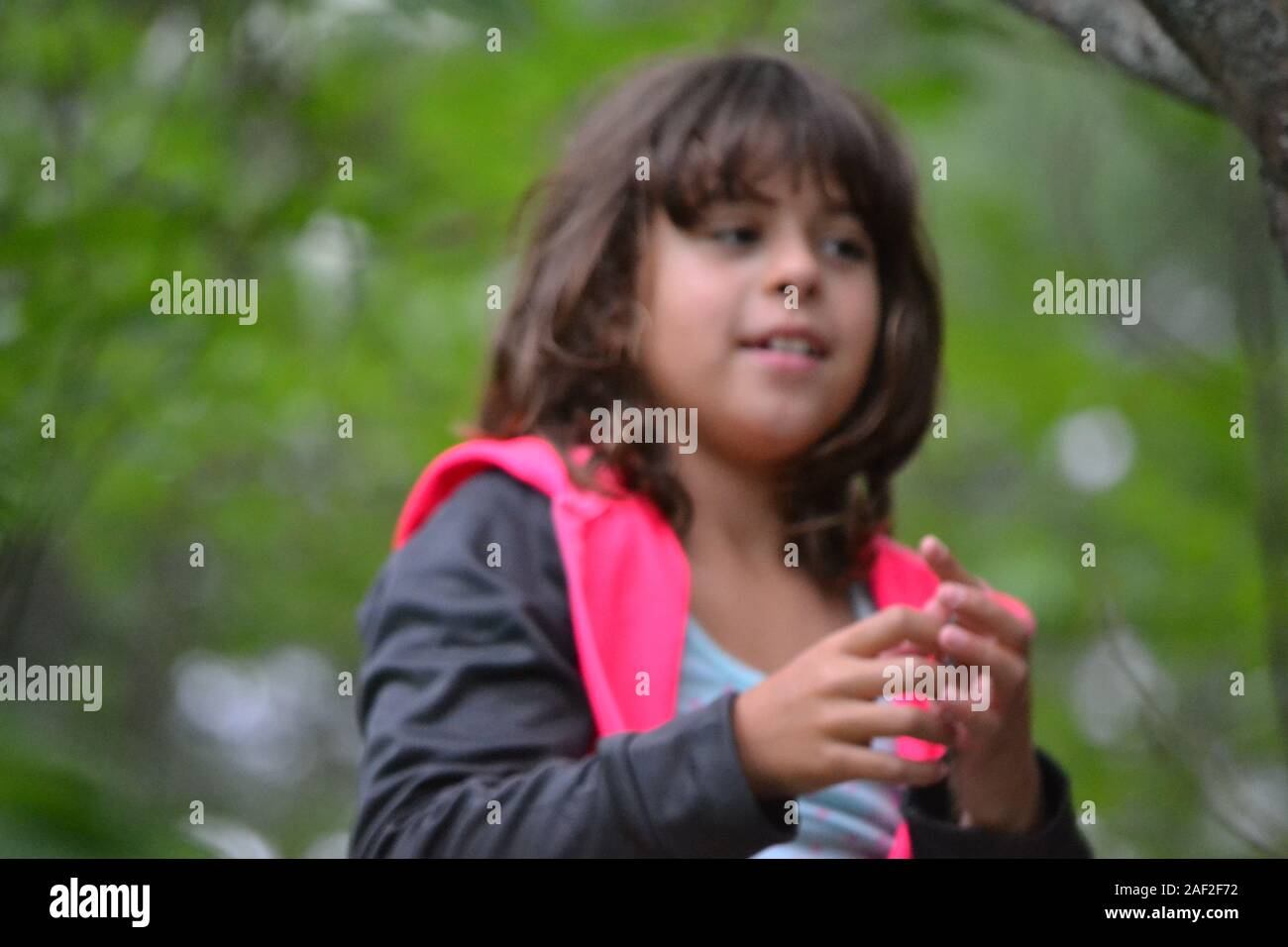 Playing in tree hi-res stock photography and images - Alamy