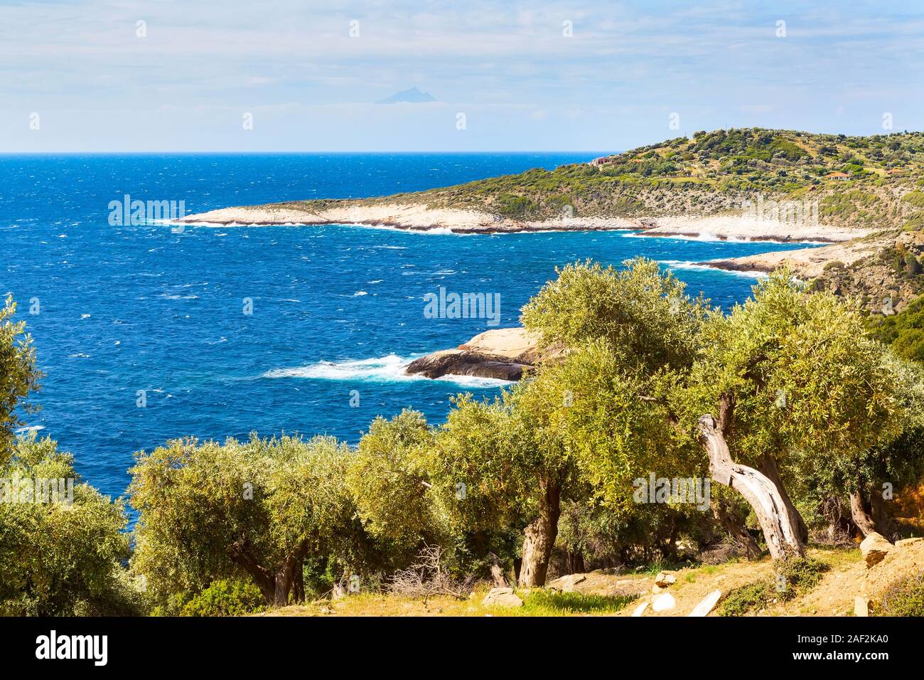 Summer vacation background with greek island Thasos, olive trees and ...