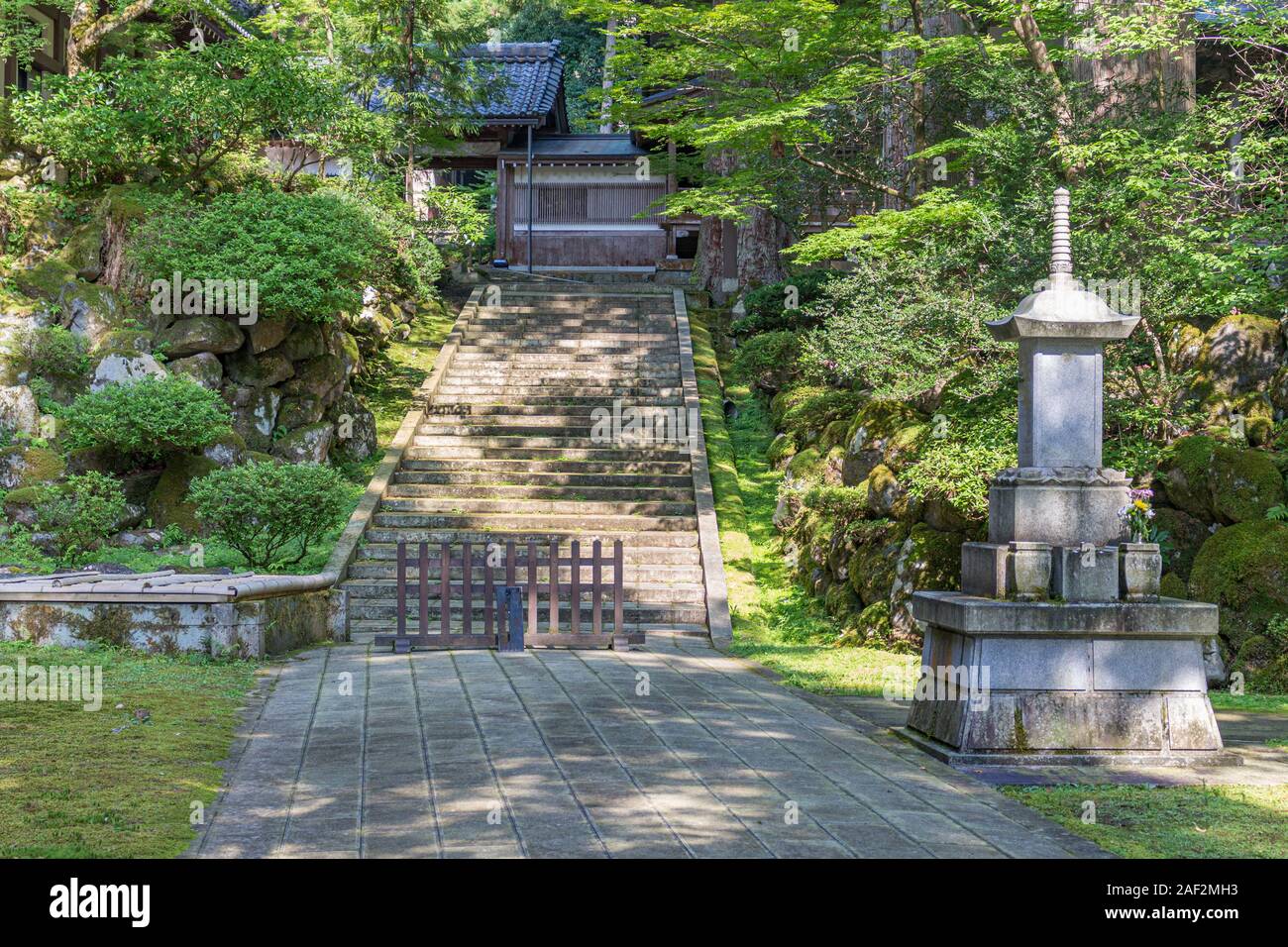 Temple buildings and trees in summer, Eiheiji, Fukui Prefecture, Japan ...