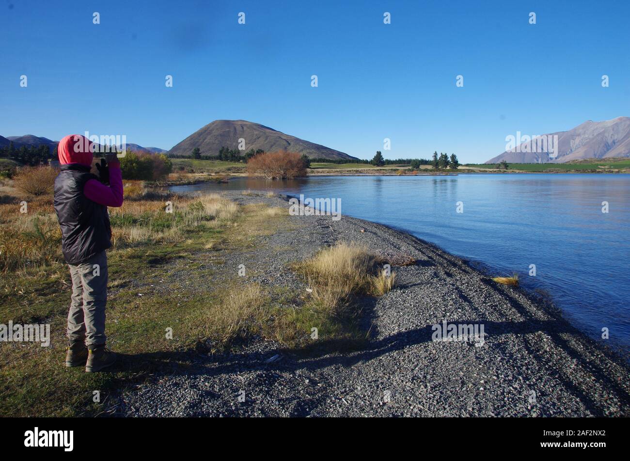 Te Araroa Trail. South Island. New Zealand Stock Photo - Alamy