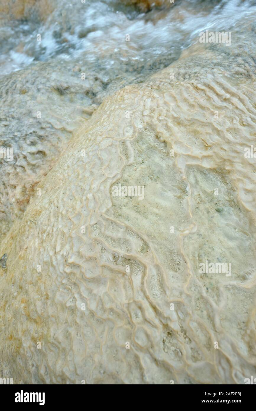 Calcium concretion formation hi-res stock photography and images - Alamy