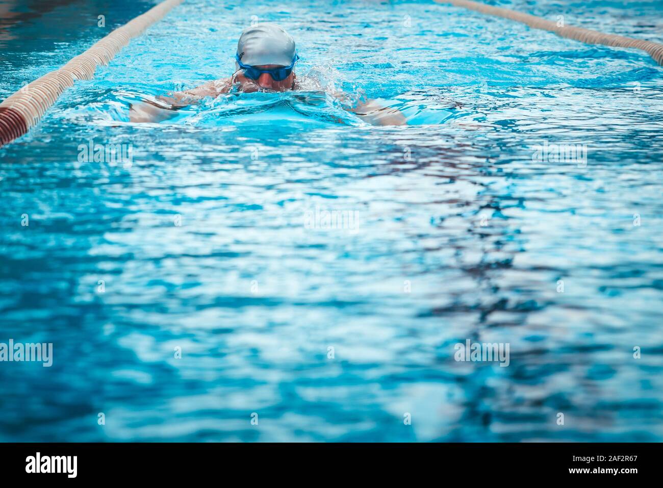 fit swimmer training in the pool. Male swimmer inside swimming pool ...