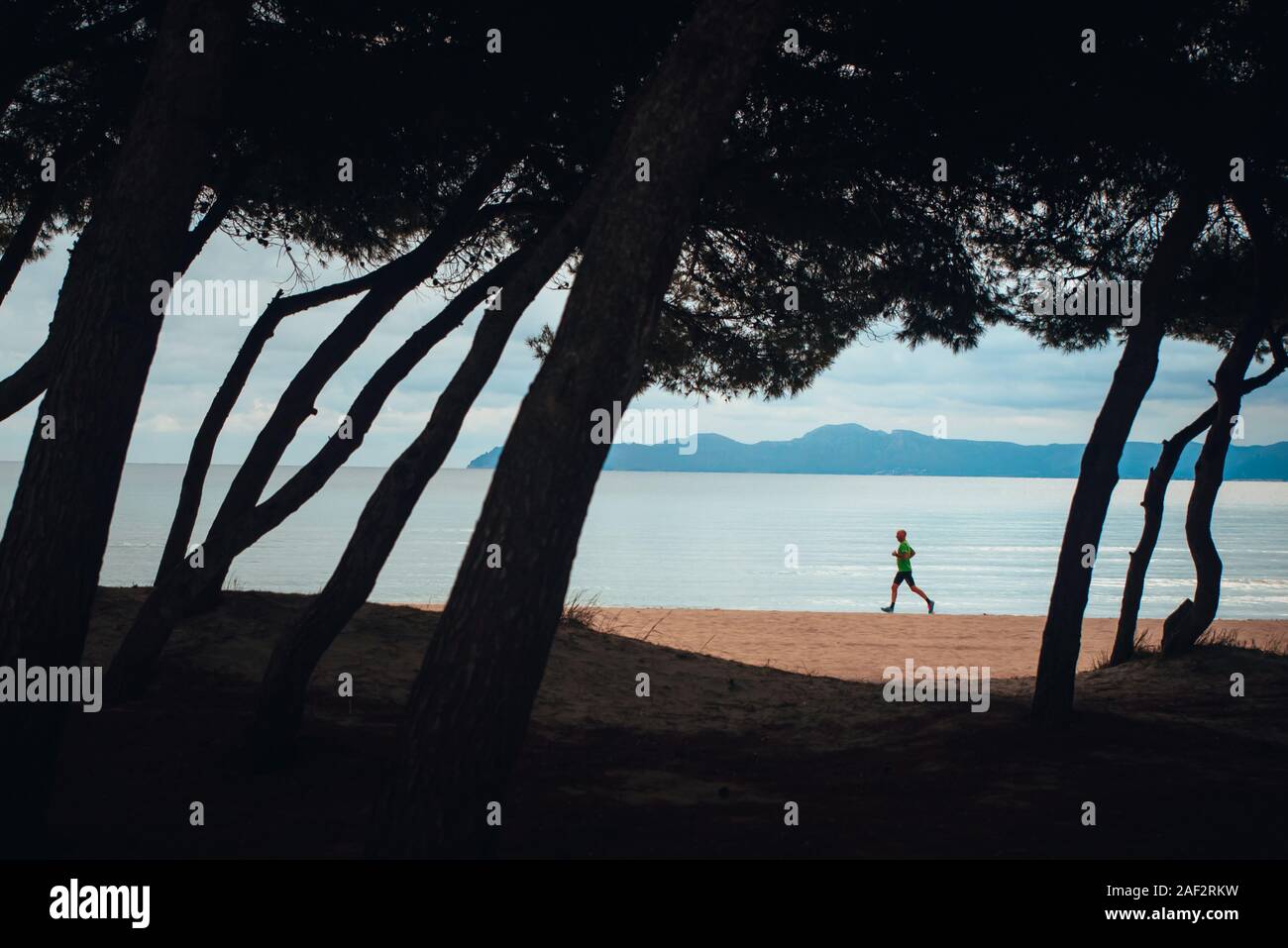 Alone runner on the morning beach between trees Stock Photo - Alamy