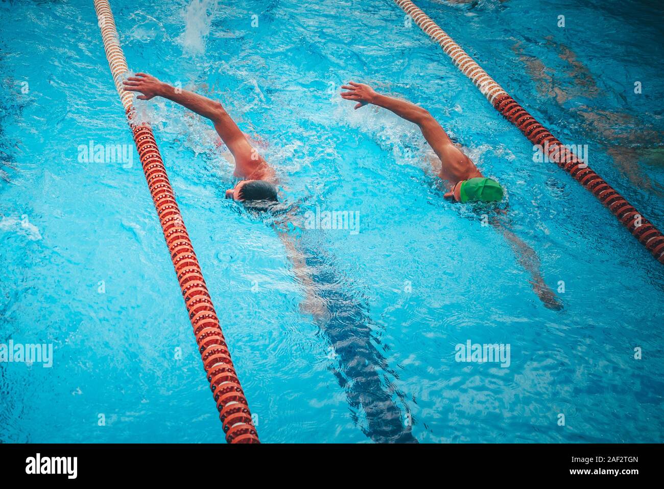 Professional swimming training. Two athlete swim together in the pool ...