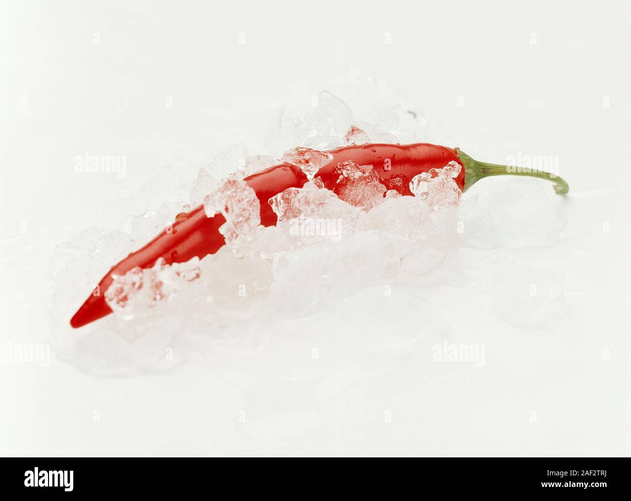 Still life. Food. Concept. Red hot chilli pepper on ice Stock Photo - Alamy