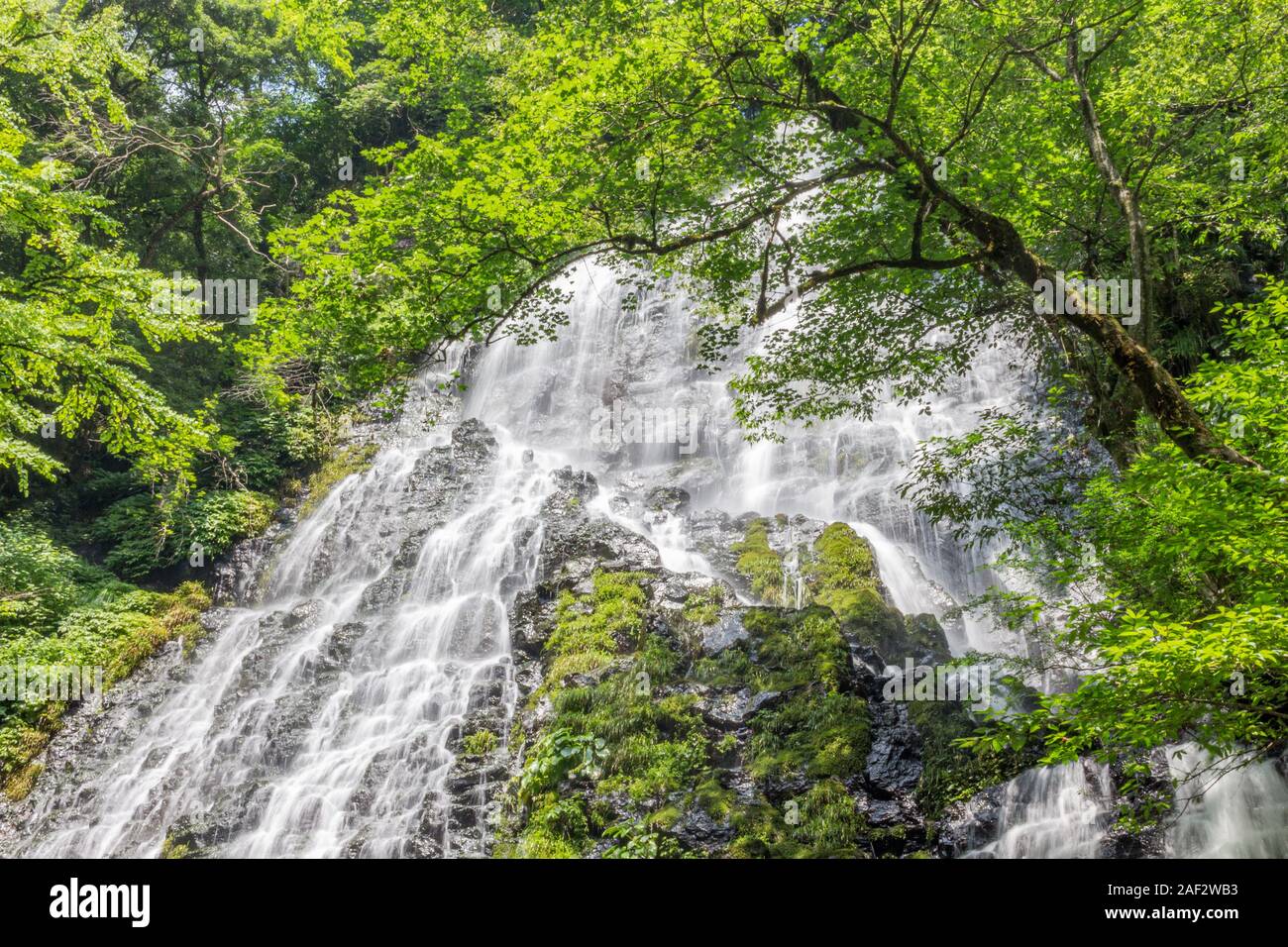 Summer view of the beautiful Ryusogadaki waterfall, Fukui Prefecture ...