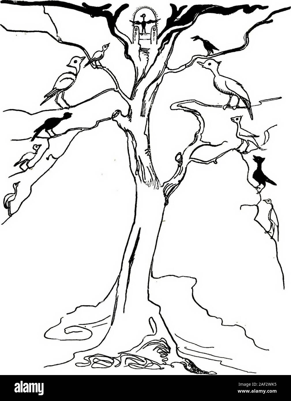 "Beasts and men" (1918 Stock Photo - Alamy