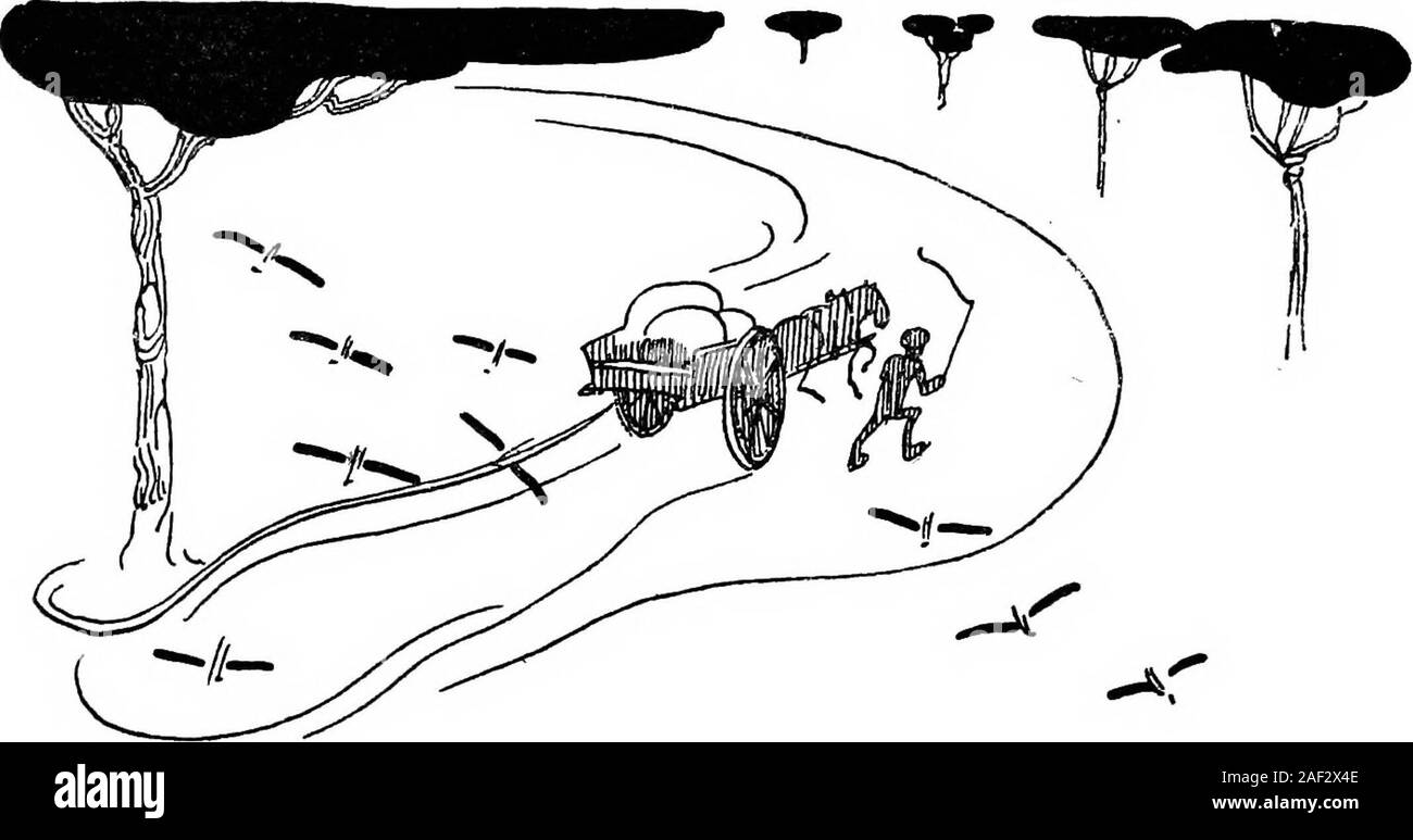 "Beasts and men" (1918 Stock Photo - Alamy