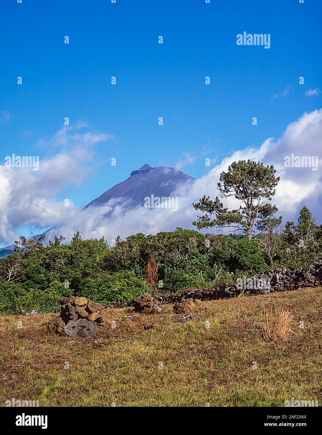 The Azores Island of Pico, named after Mount Pico the highest mountain ...