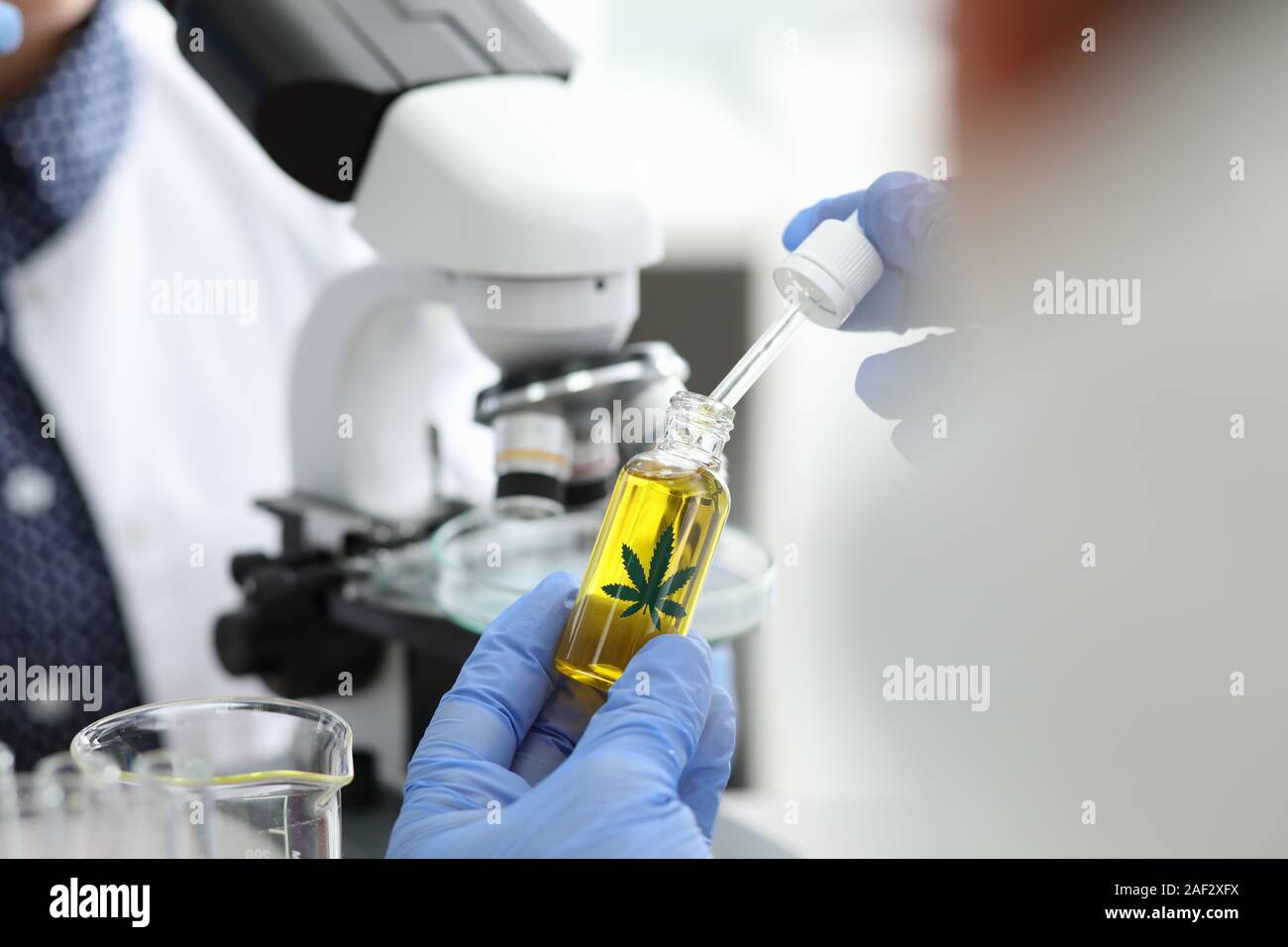 Teamwork on biological experiment Stock Photo - Alamy