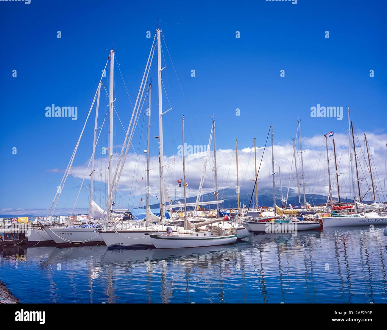 The colourful small boat marina on the island of Faial and the islands ...