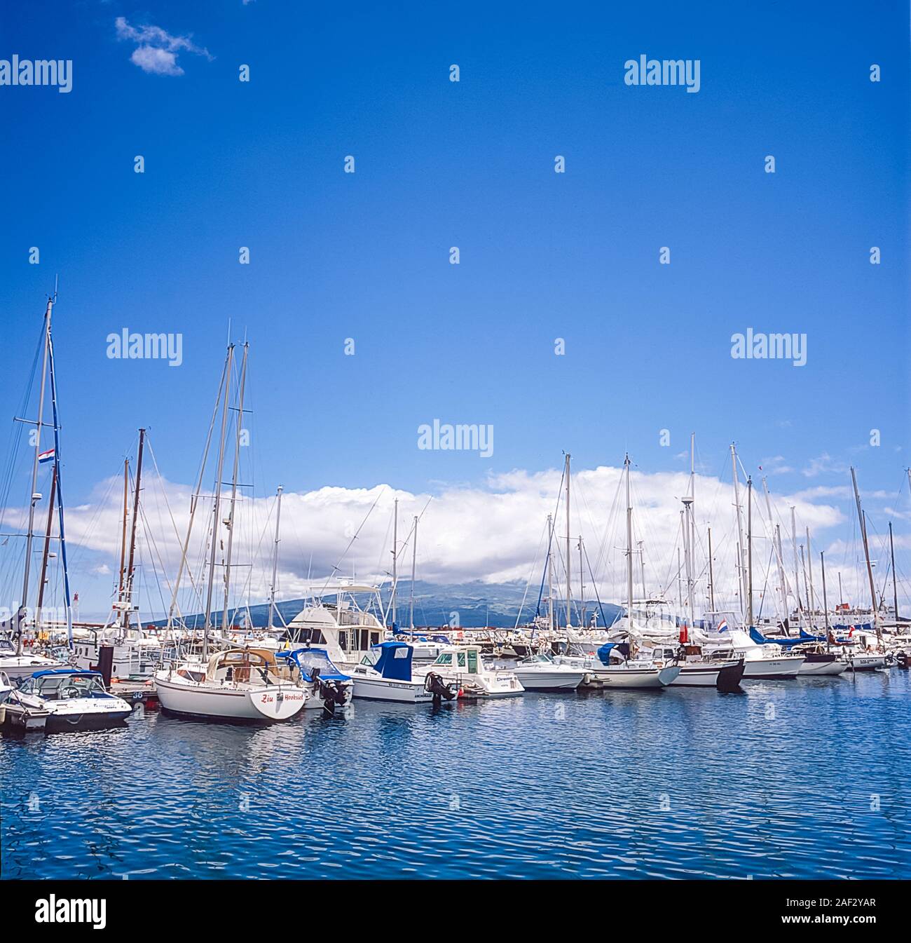 The colourful small boat marina on the island of Faial and the islands ...