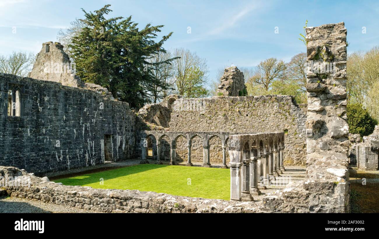 The remains of a medieval abbey in the village of Portumna in County ...