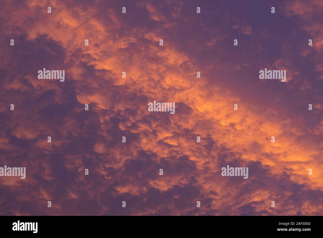 Good morning sun hi-res stock photography and images - Alamy