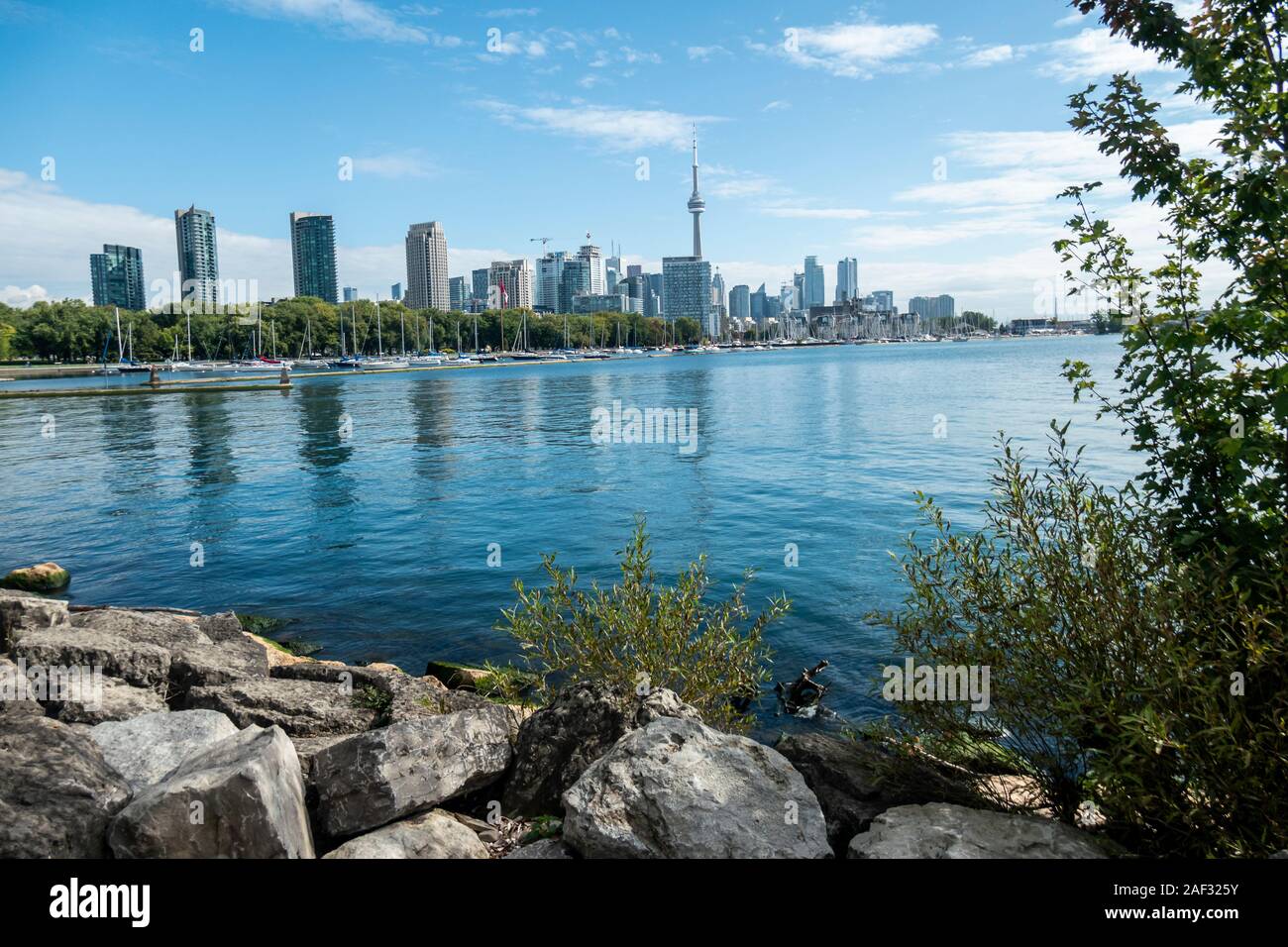 Toronto photographer hi-res stock photography and images - Alamy