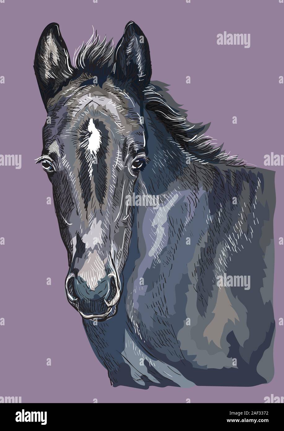 Colorful cute pony foal portrait. Young pony head isolated on purple ...