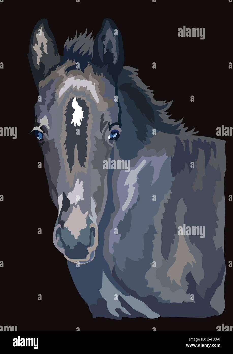 Colorful cute pony foal portrait. Young pony head isolated on black ...