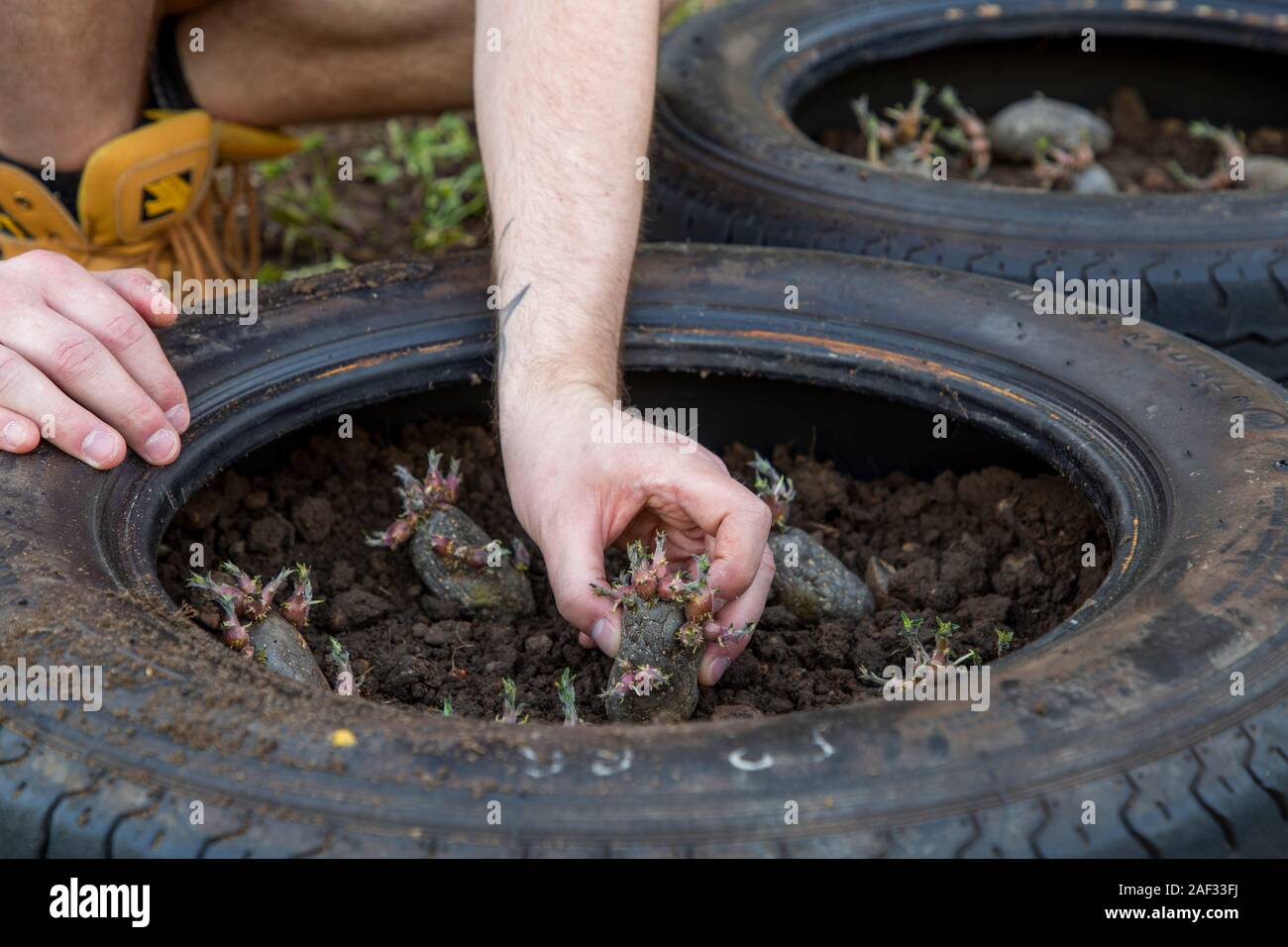 Potato car hi-res stock photography and images - Alamy