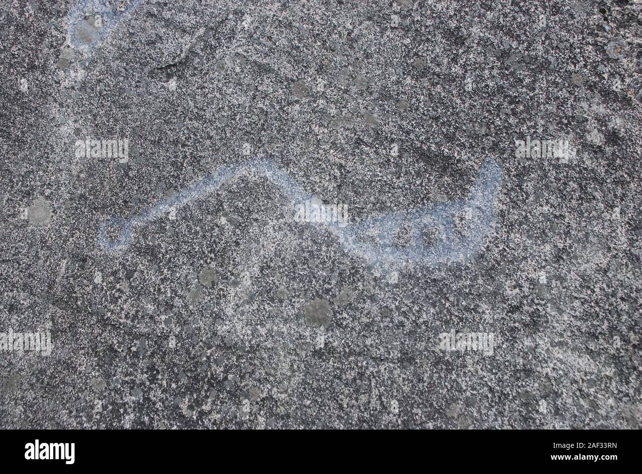 Petroglyph Primitive drawings on stones. Ancient art by prehistoric ...