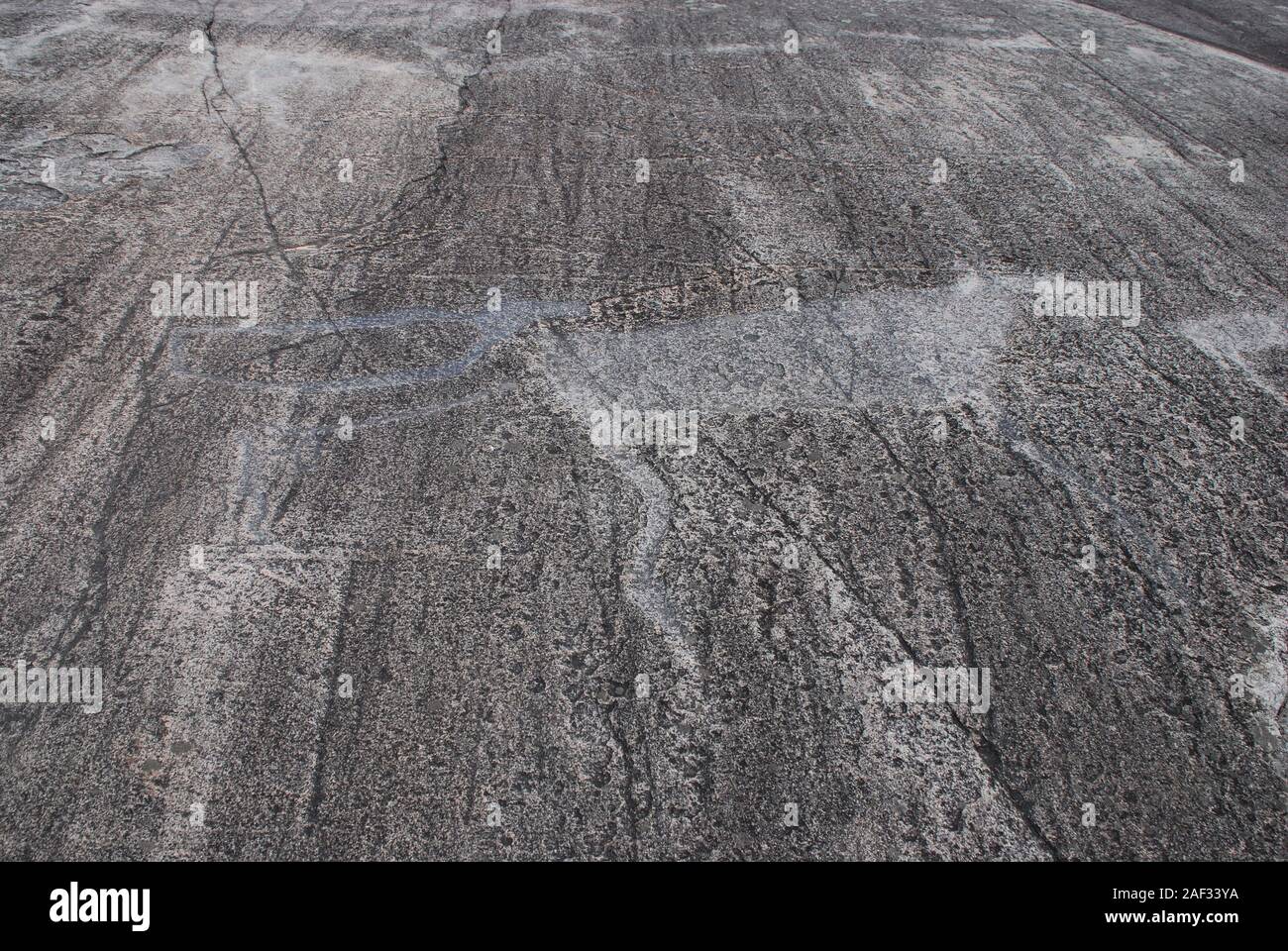 Petroglyph Primitive drawings on stones. Ancient art by prehistoric ...