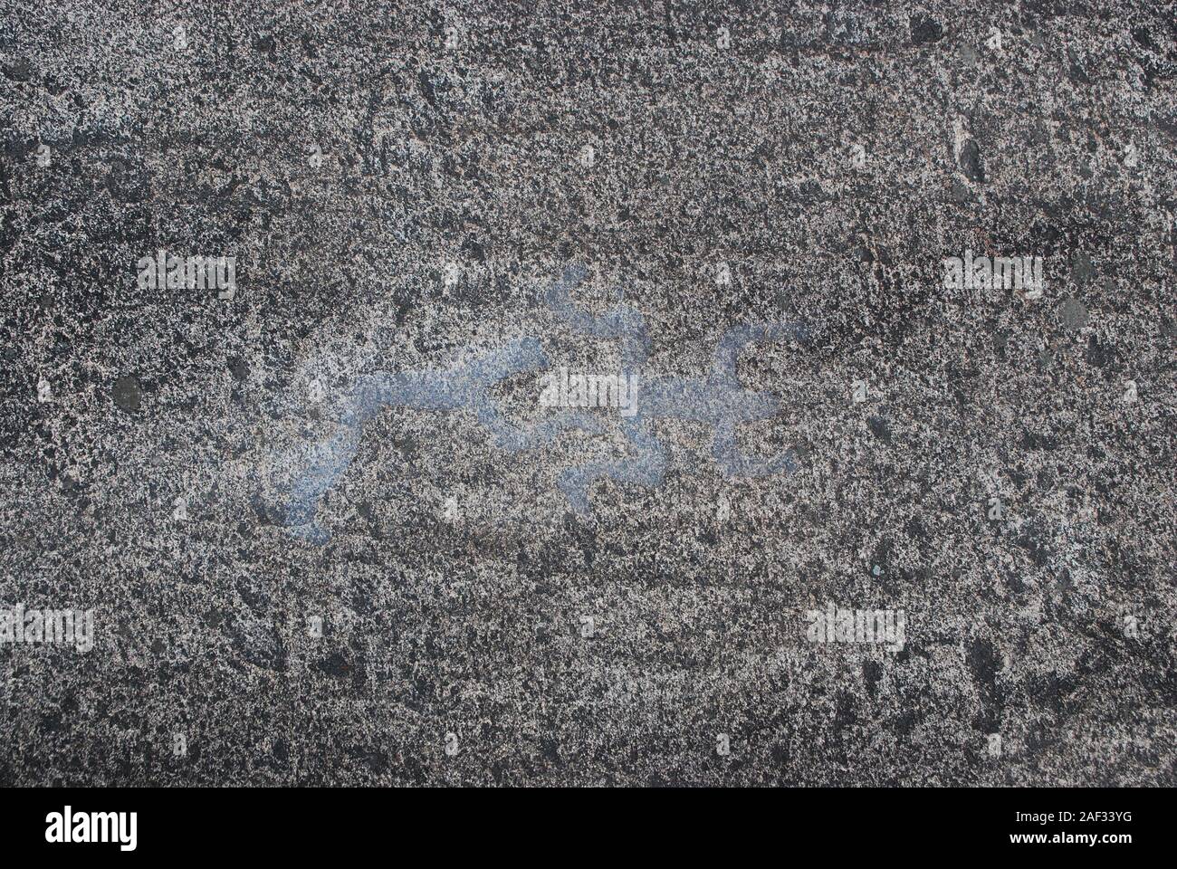 Petroglyph Primitive drawings on stones. Ancient art by prehistoric ...