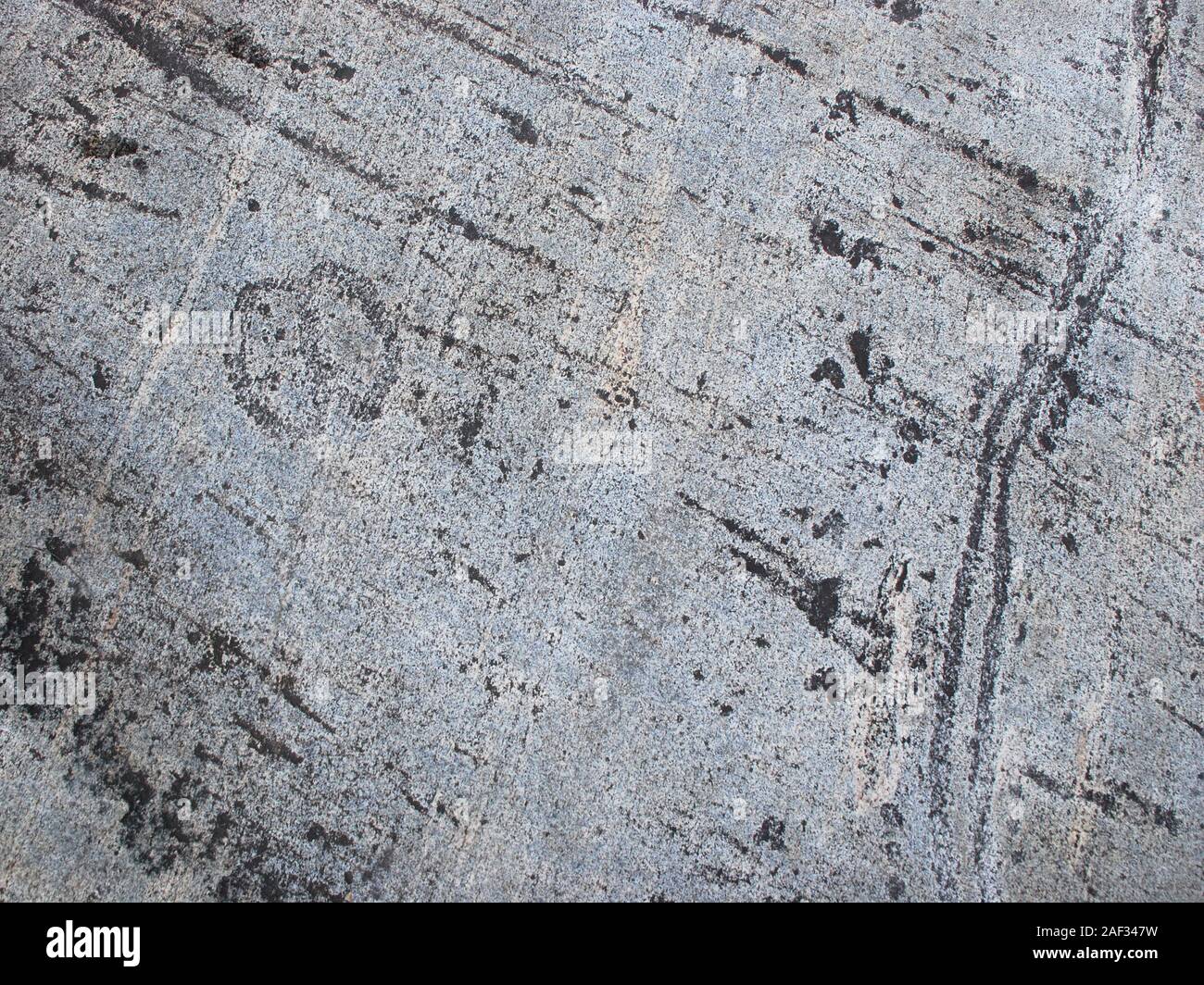 Petroglyph Primitive drawings on stones. Ancient art by prehistoric ...