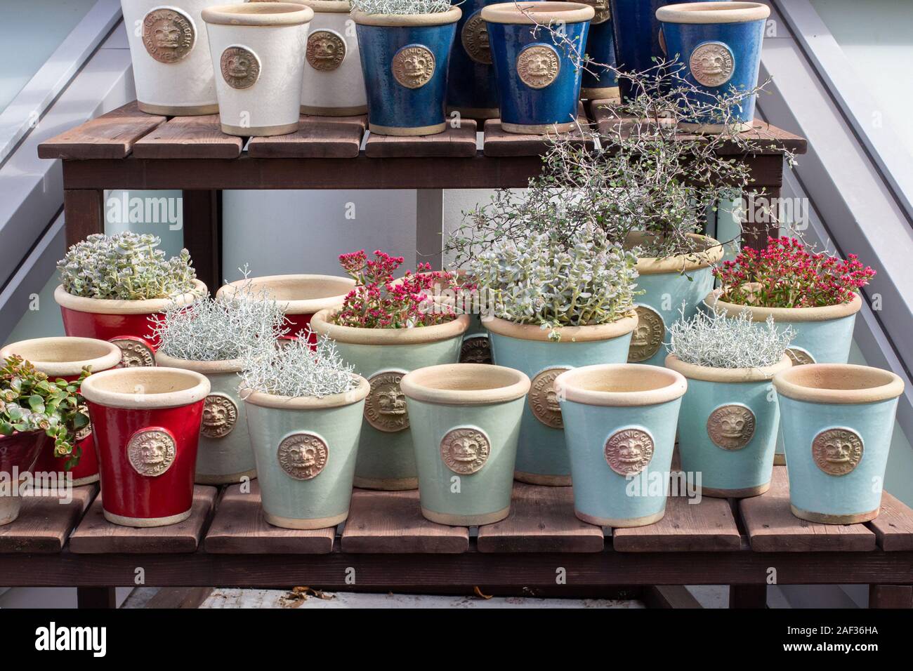 Moscow, Russia - August 18, 2019: Set of beautiful flower pots. Garden ...
