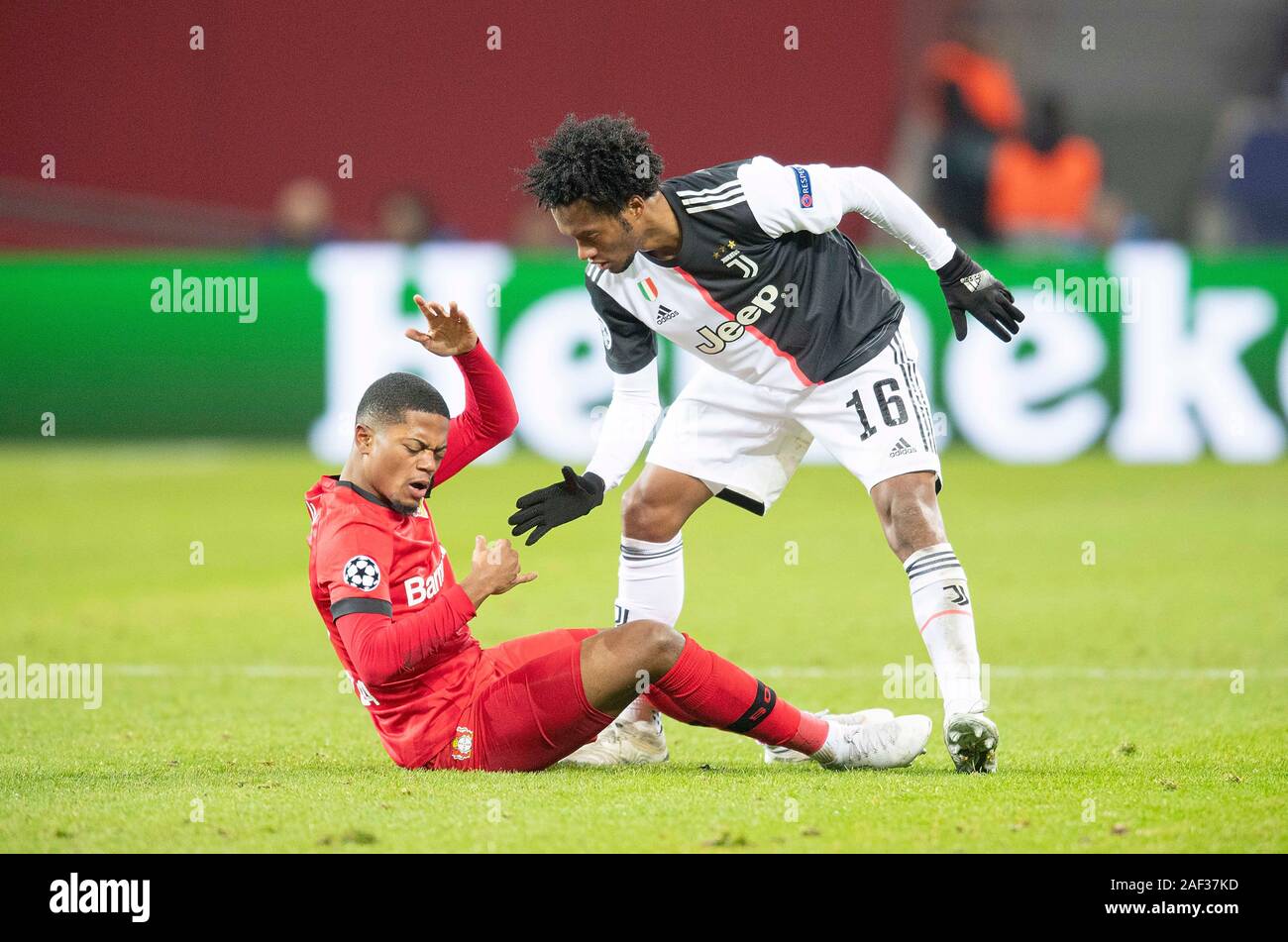 Leon cuadrado hi-res stock photography and images - Alamy