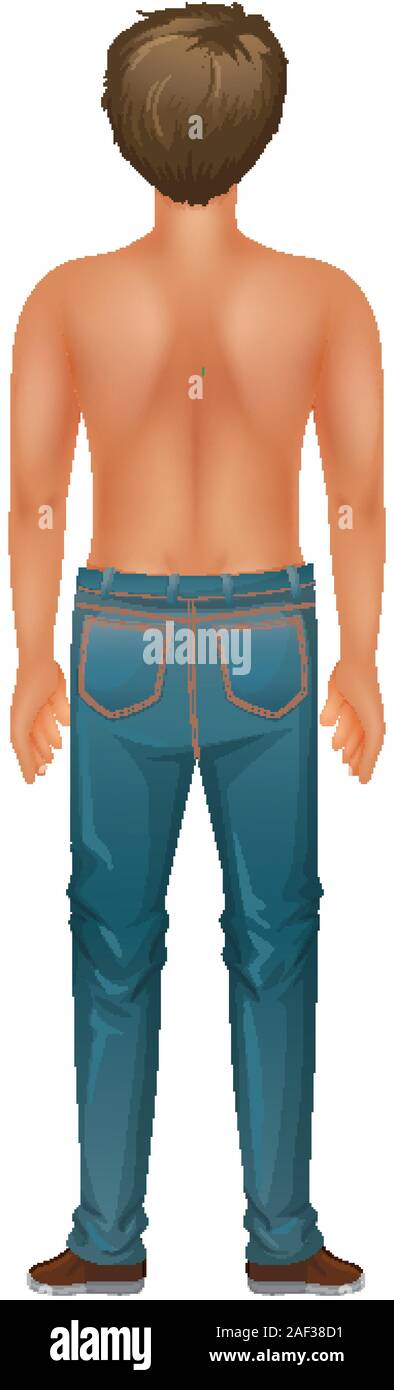 Back of human male on white background illustration Stock Vector Image ...