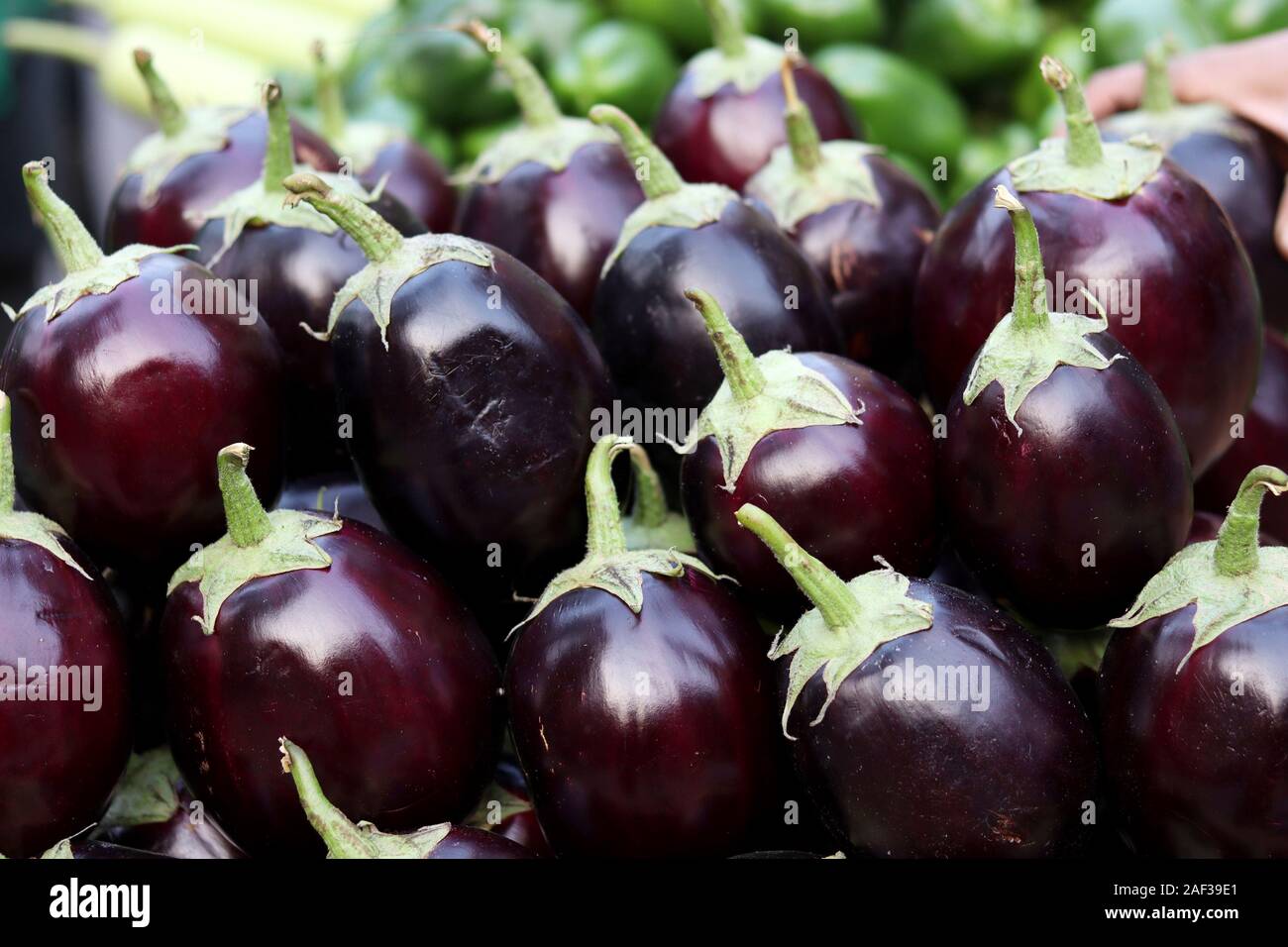 Brinjal hi-res stock photography and images - Alamy