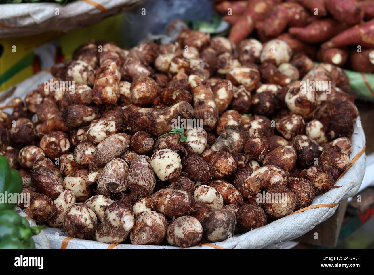 Arvi hi-res stock photography and images - Alamy