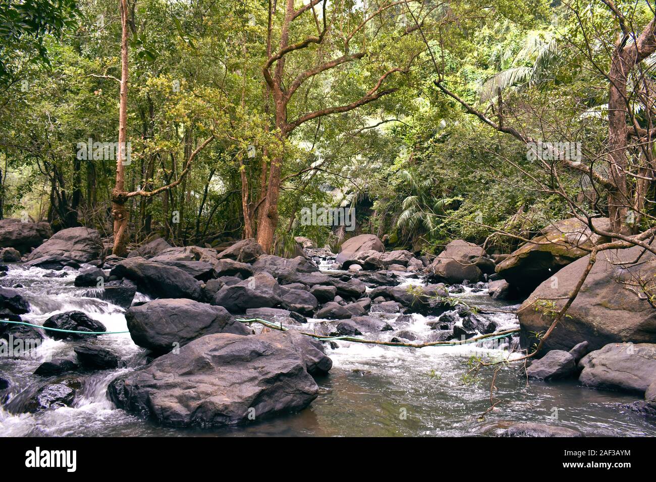 a trek to dudhsagar falls where river is flowing Stock Photo - Alamy