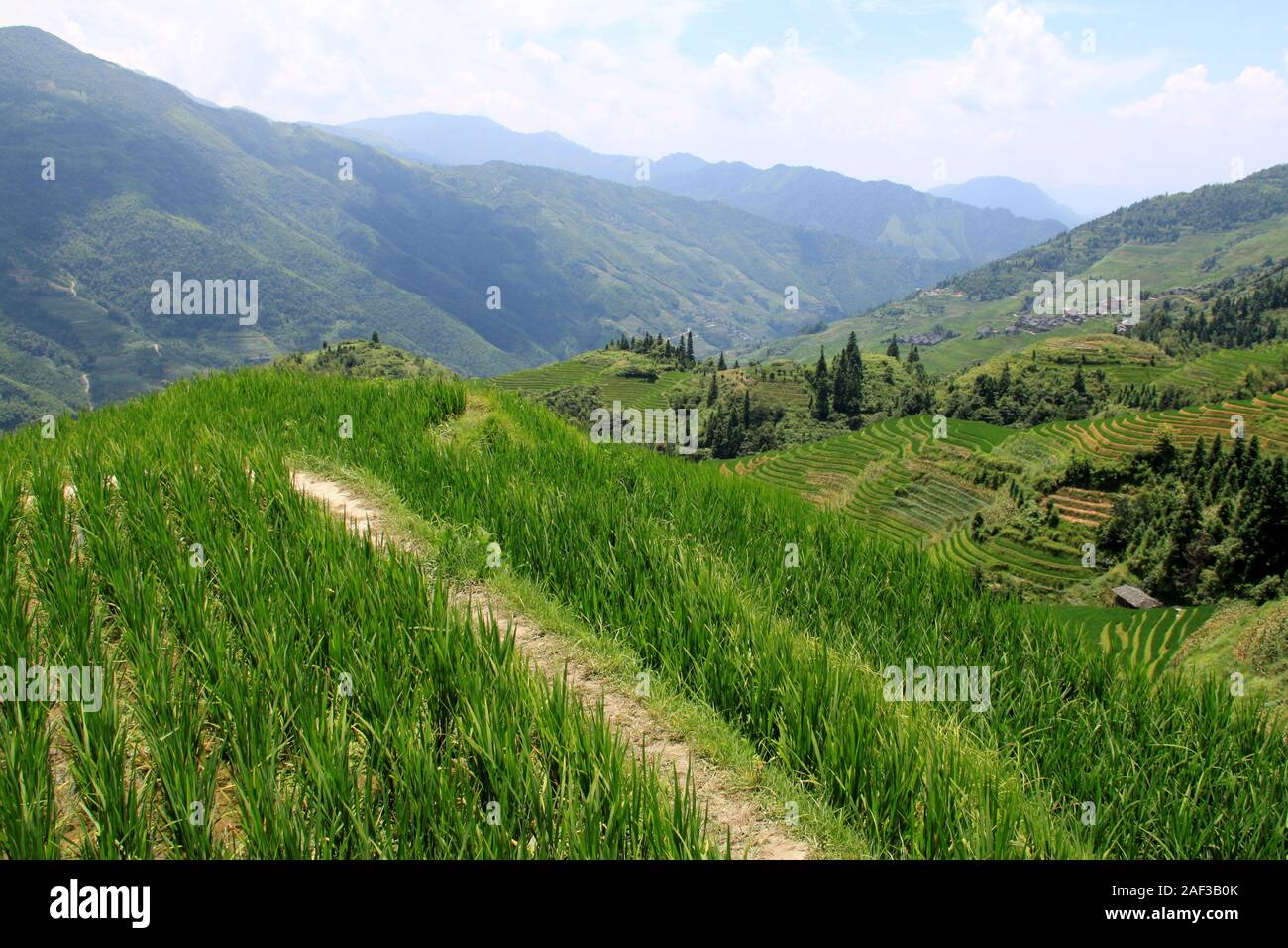 The extraordinary landscape of Longji rice fields Stock Photo - Alamy