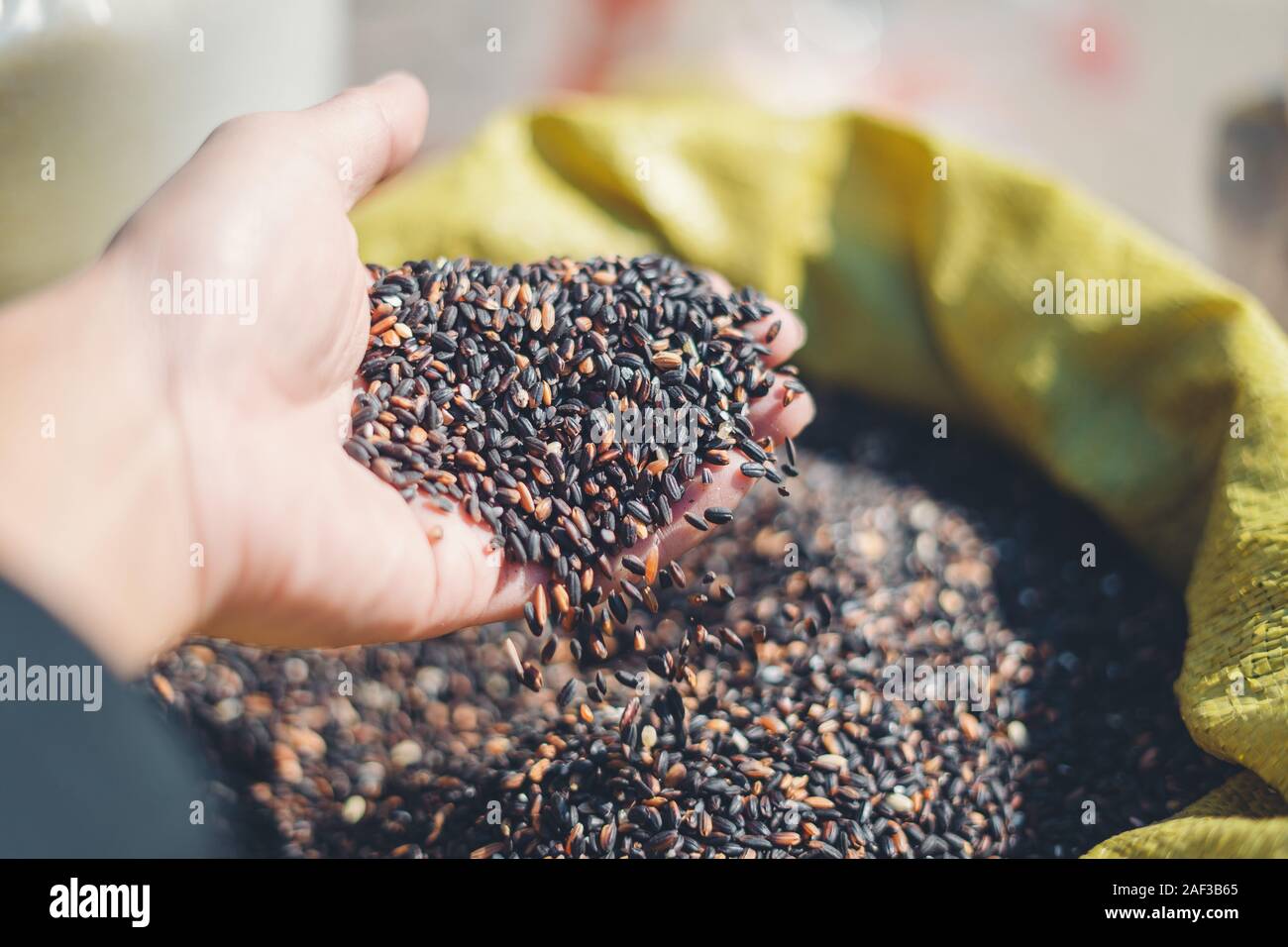 Glutinous seeds hi-res stock photography and images - Alamy