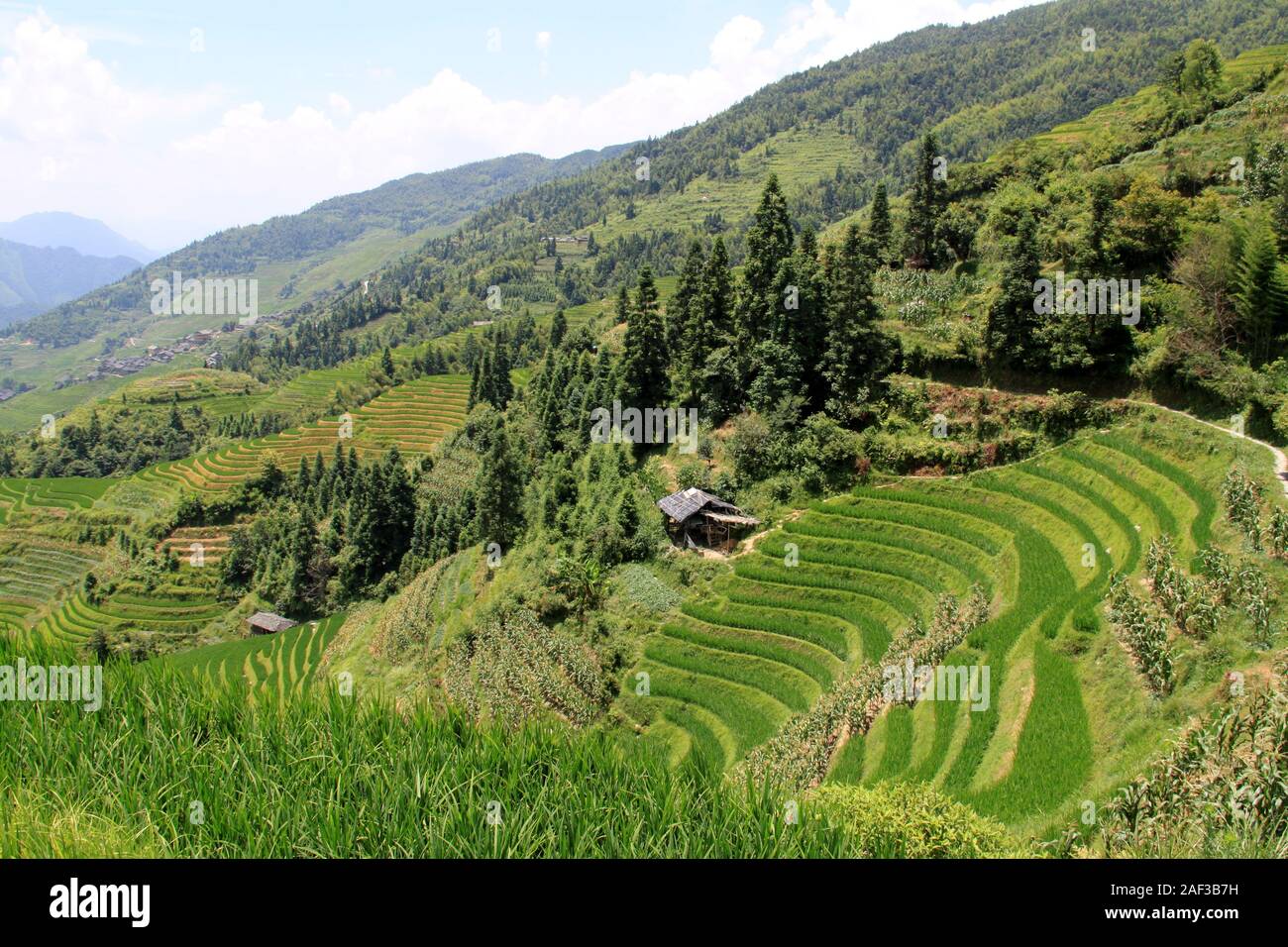 The extraordinary landscape of Longji rice fields Stock Photo - Alamy