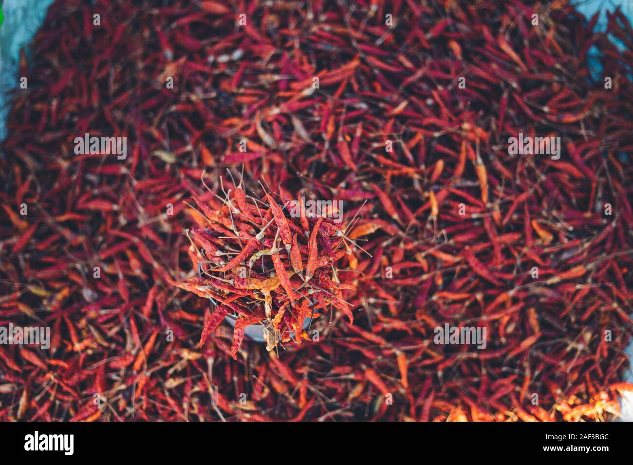 Red dried chillies in the fresh market Stock Photo - Alamy
