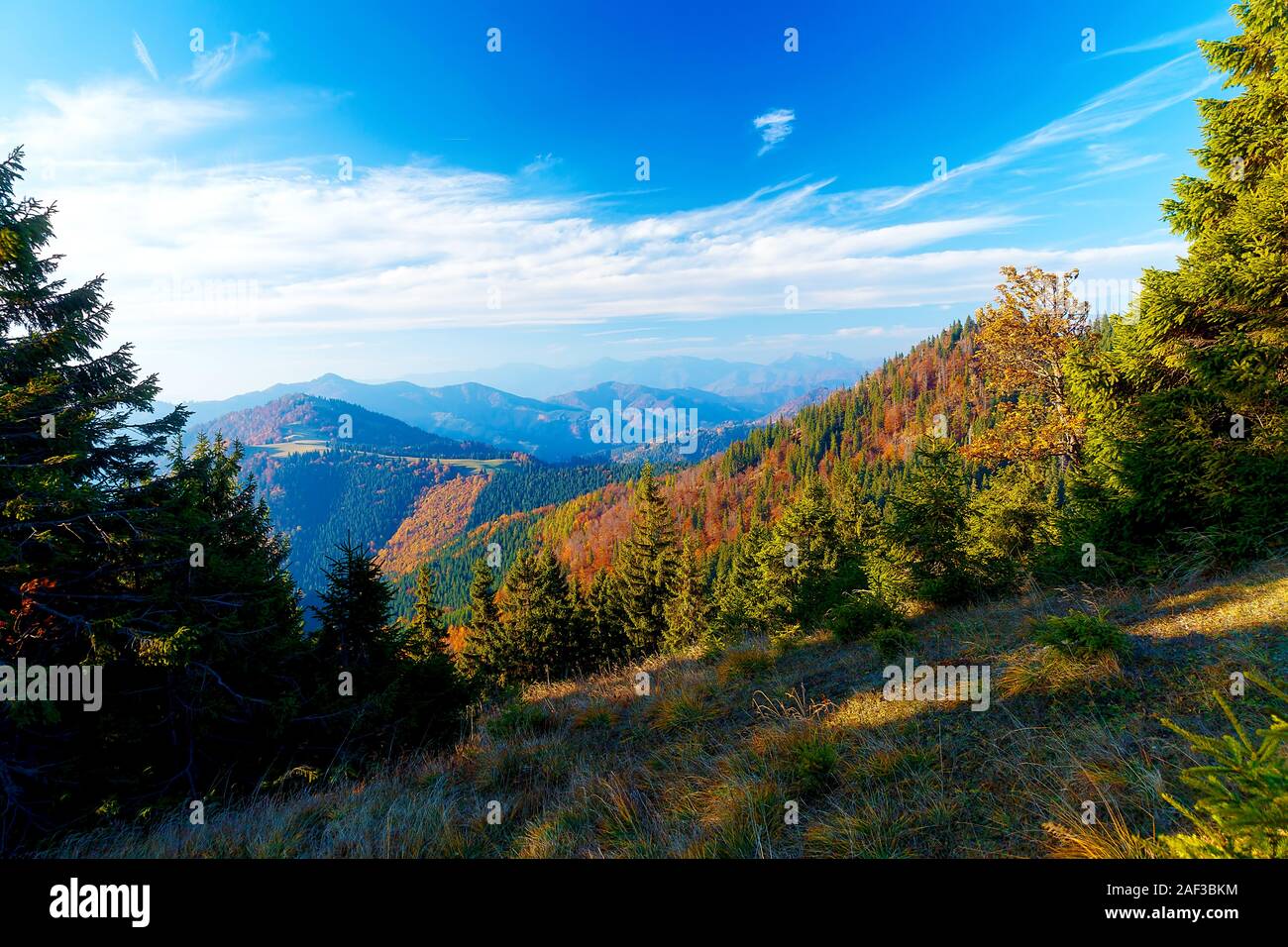 Beautiful mountain landscape, autumn meadows and trees Stock Photo - Alamy