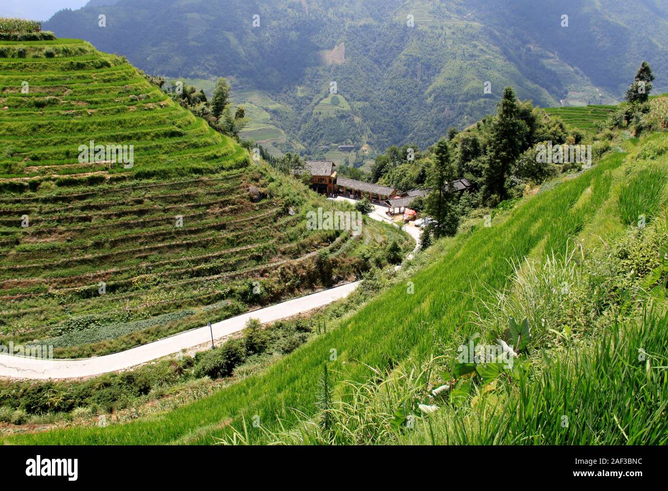 The extraordinary landscape of Longji rice fields Stock Photo - Alamy