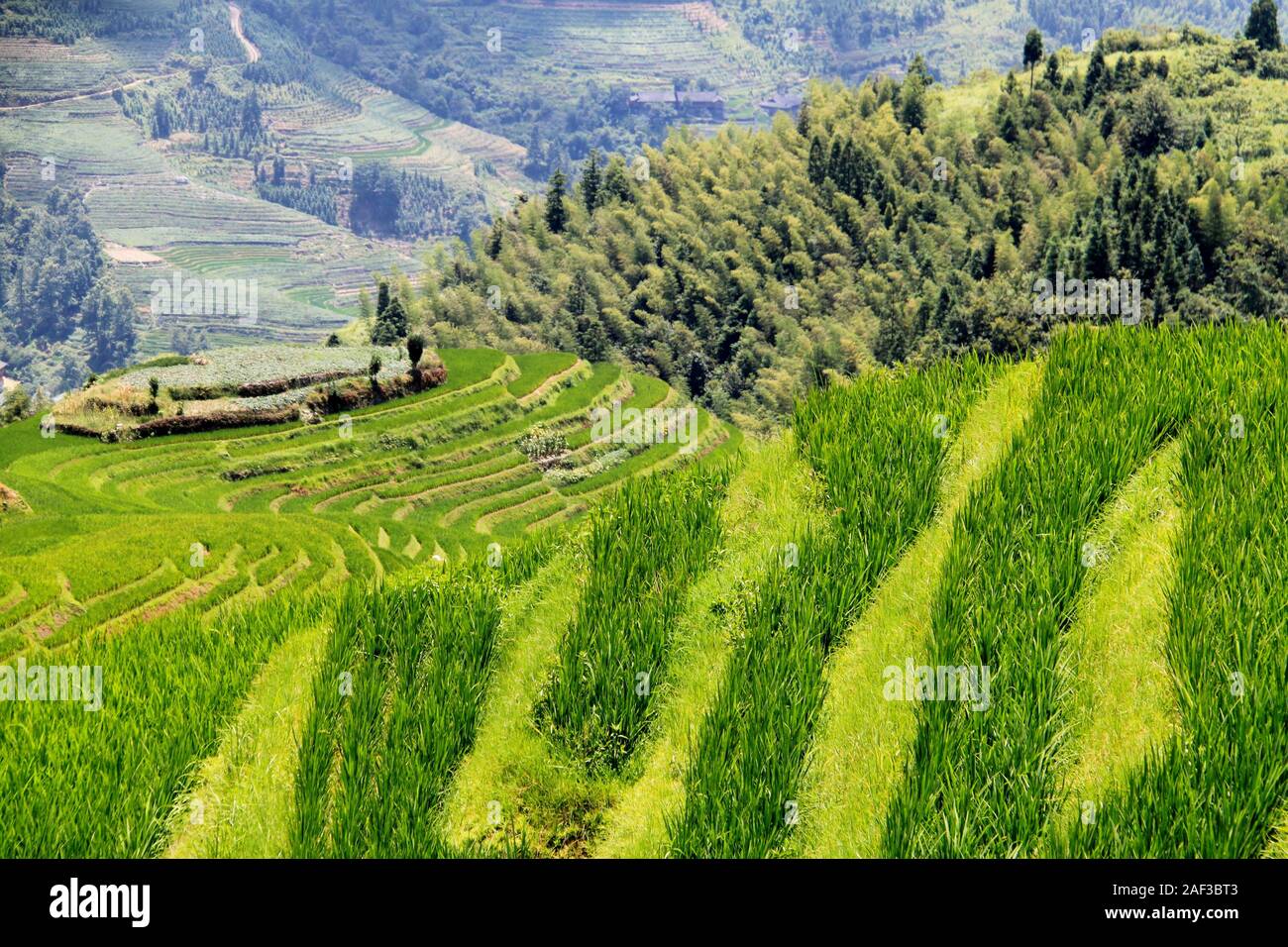 The extraordinary landscape of Longji rice fields Stock Photo - Alamy