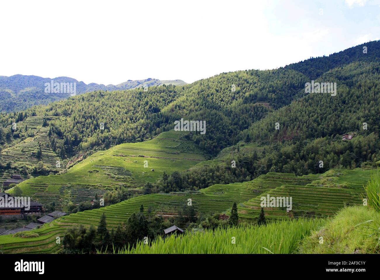 The extraordinary landscape of Longji rice fields Stock Photo - Alamy
