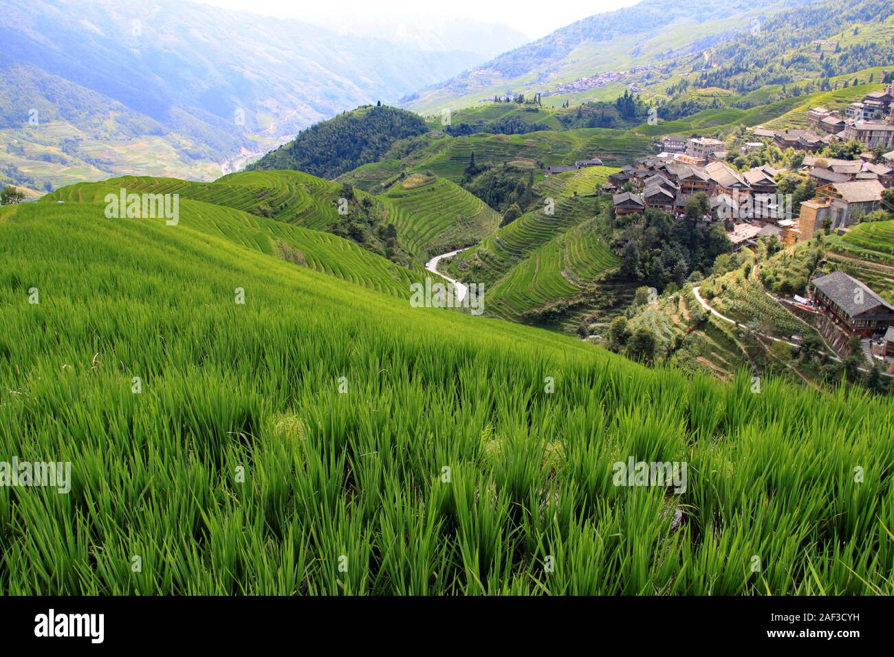 The extraordinary landscape of Longji rice fields Stock Photo - Alamy